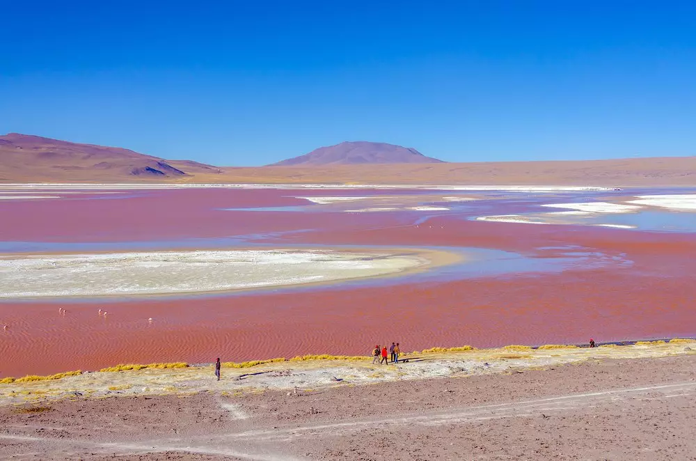 Laguna Colorada، بوليويا