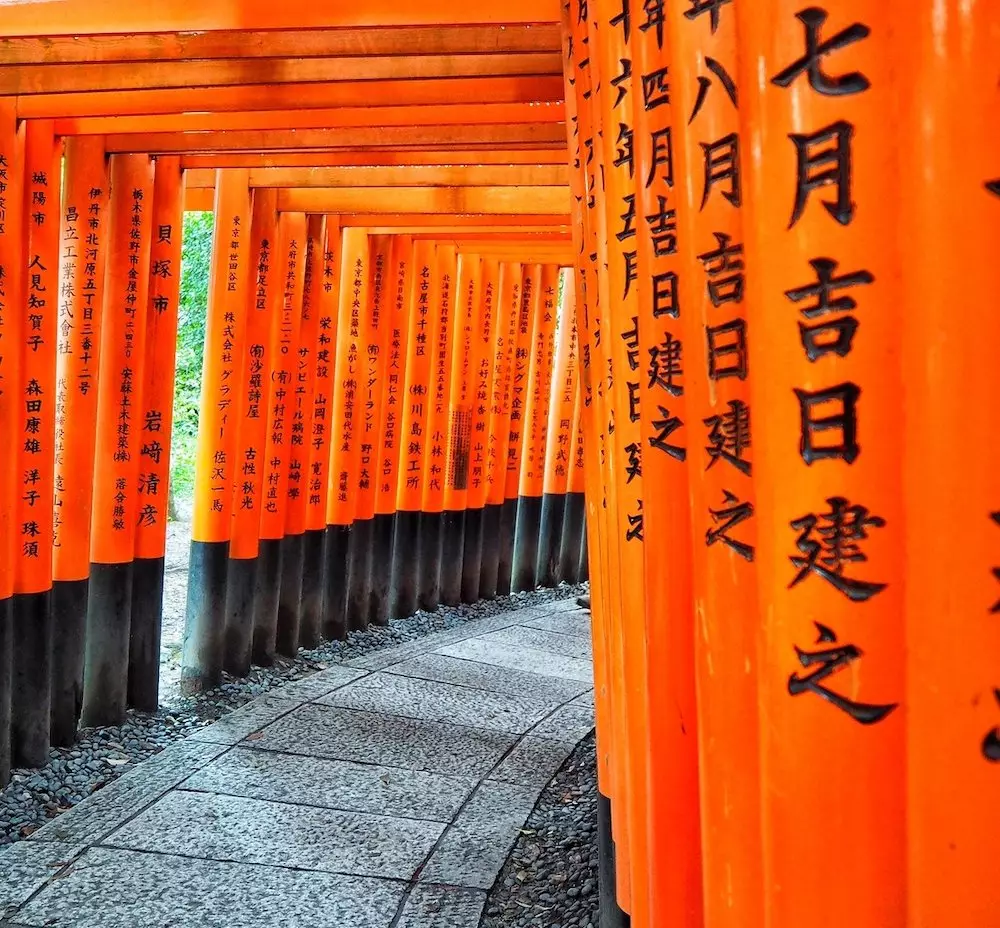 Fushimi Inari Taisha، ڪيوٽو، جاپان