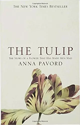 Tulip - အမျိုးသားများကို ရူးသွပ်စေသော ပန်း၏ ဇာတ်လမ်း