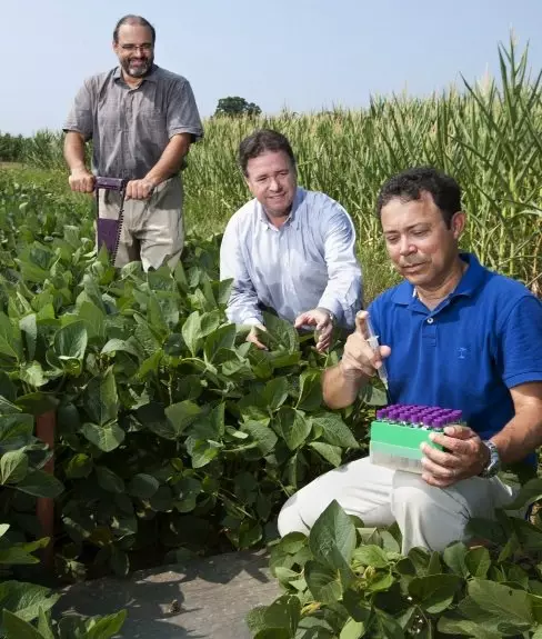 Onderzoekers van het uitgestrekte Beltsville Agricultural Research Center van de USDA