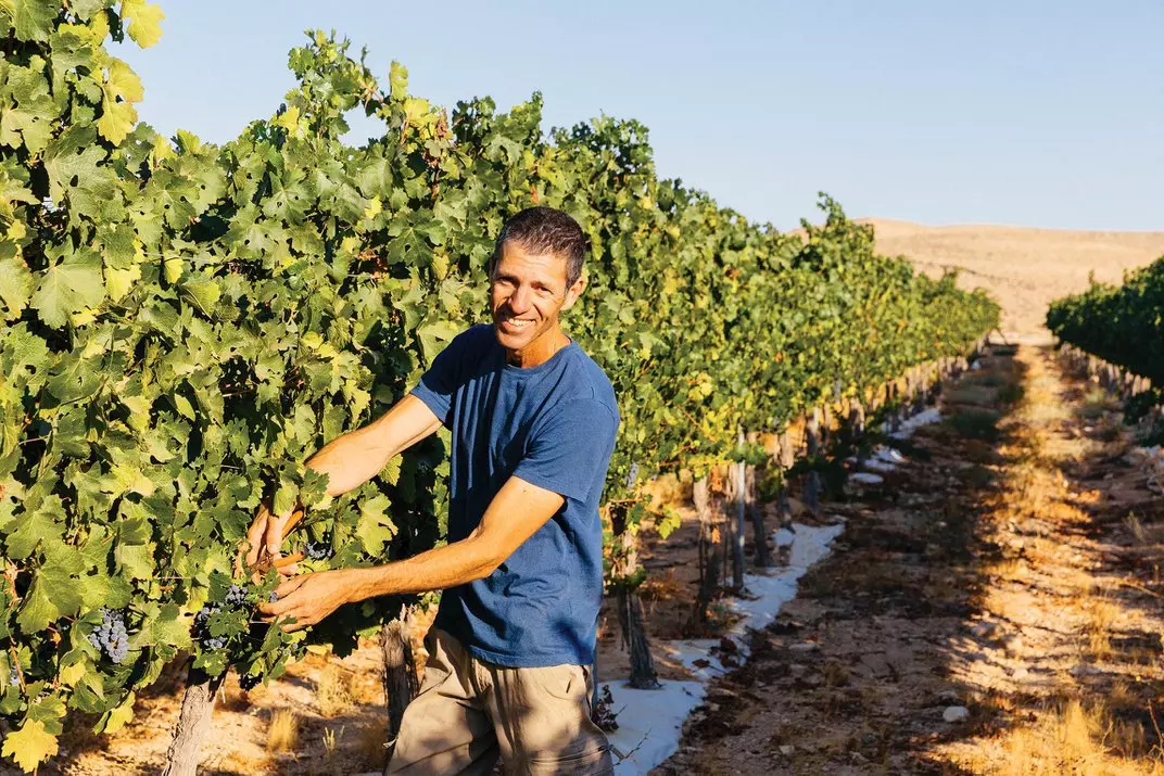 لماذا النبيذ من صحراء النقب في إسرائيل قد يمثل مستقبل زراعة العنب 31934_4