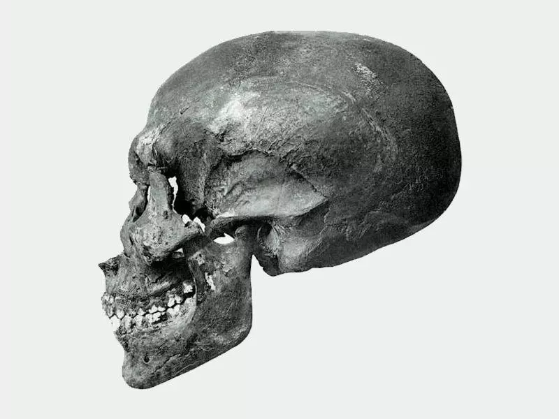 KV55 kaukolės profilio vaizdas