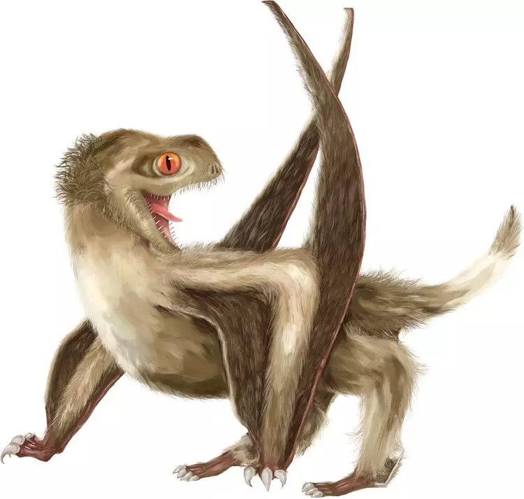 Pterozaur