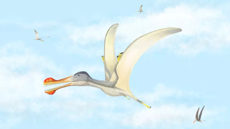 Táto ilustrácia je umeleckou interpretáciou toho, ako mohol zubatý pterosaurus vyzerať pred 100 miliónmi rokov.