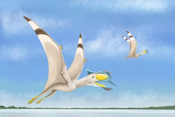 Dës Illustratioun stellt d'Interpretatioun vun engem Kënschtler duer fir wéi eng Zännlos Pterosaurier virun 100 Millioune Joer ausgesinn hätt.