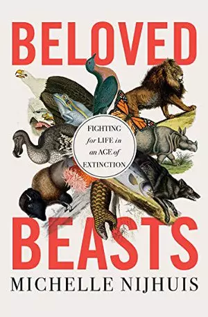Forskoðunarsmámynd fyrir 'Beloved Beasts: Fighting for Life in an Age of Extinction