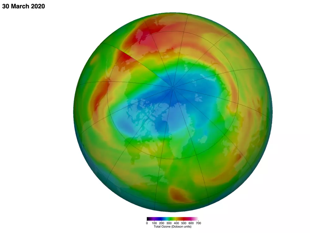 Falskolora modelo de la Norda Hemisfero montras truon en la ozono super Arkto