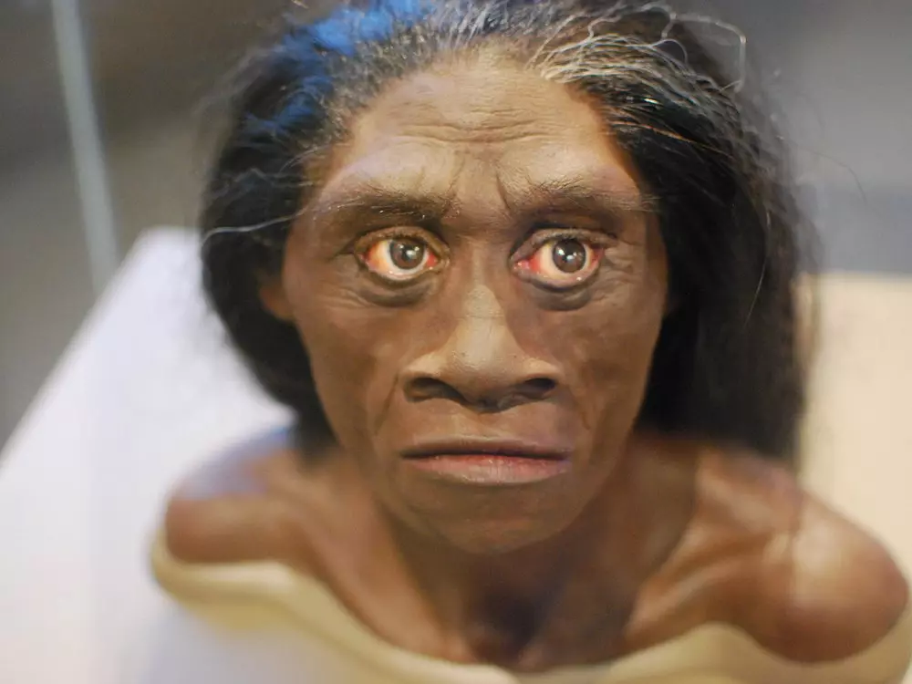 Reconstrucció del hòbbit