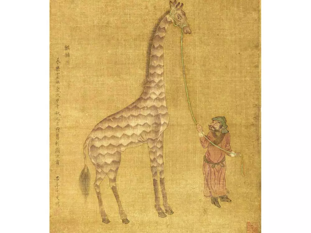 žirafa.jpg