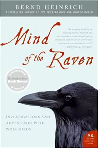 Κριτική του "Mind of the Raven"