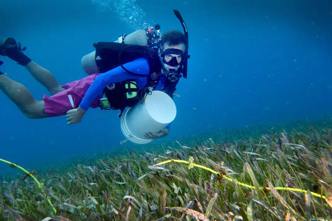 Ένα κομψό εργαλείο που ονομάζεται Squidpop και το οποίο οι επιστήμονες θέλουν να κάνουν Crowdsource 33142_10