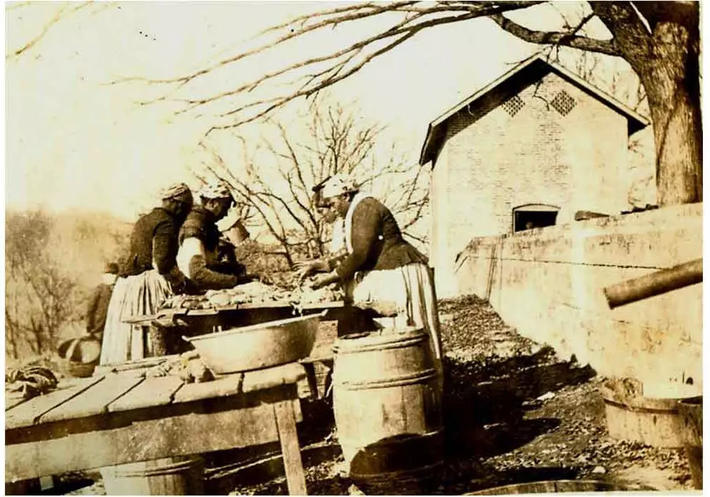 Pork-Processing-i-WessyngtonWEB.jpg