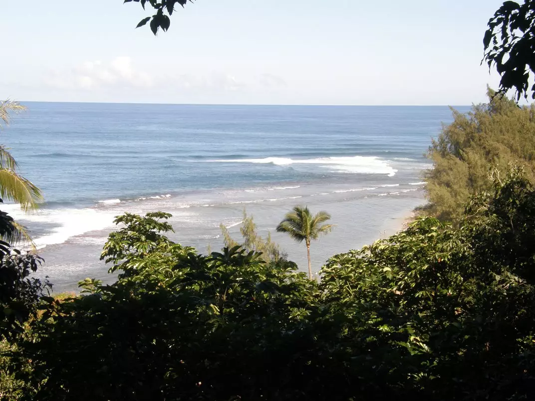 Lessen vinden over cultuur en natuurbehoud aan het einde van de weg in Kauai 33331_14