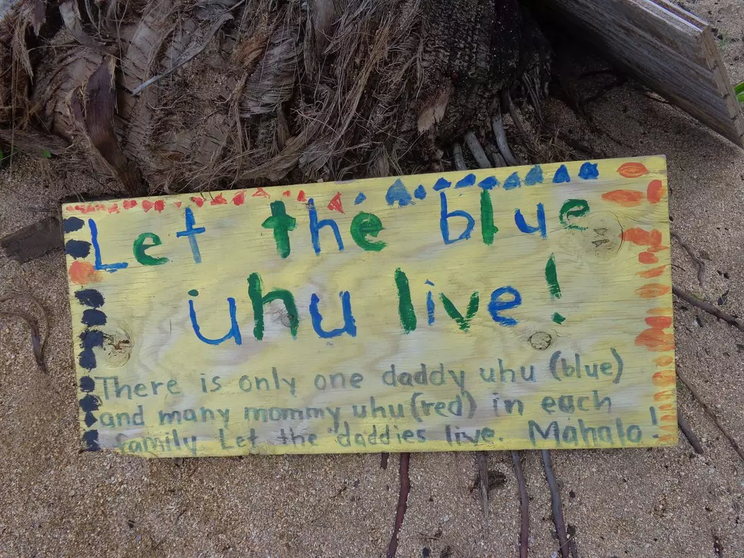 Trouver des leçons sur la culture et la conservation au bout du chemin à Kauai 33331_15