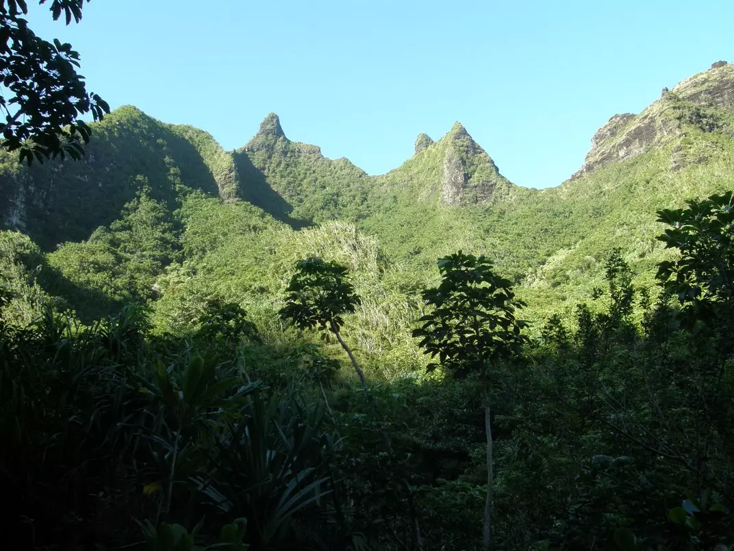 Find lektioner om kultur og bevaring ved vejens ende i Kauai 33331_4