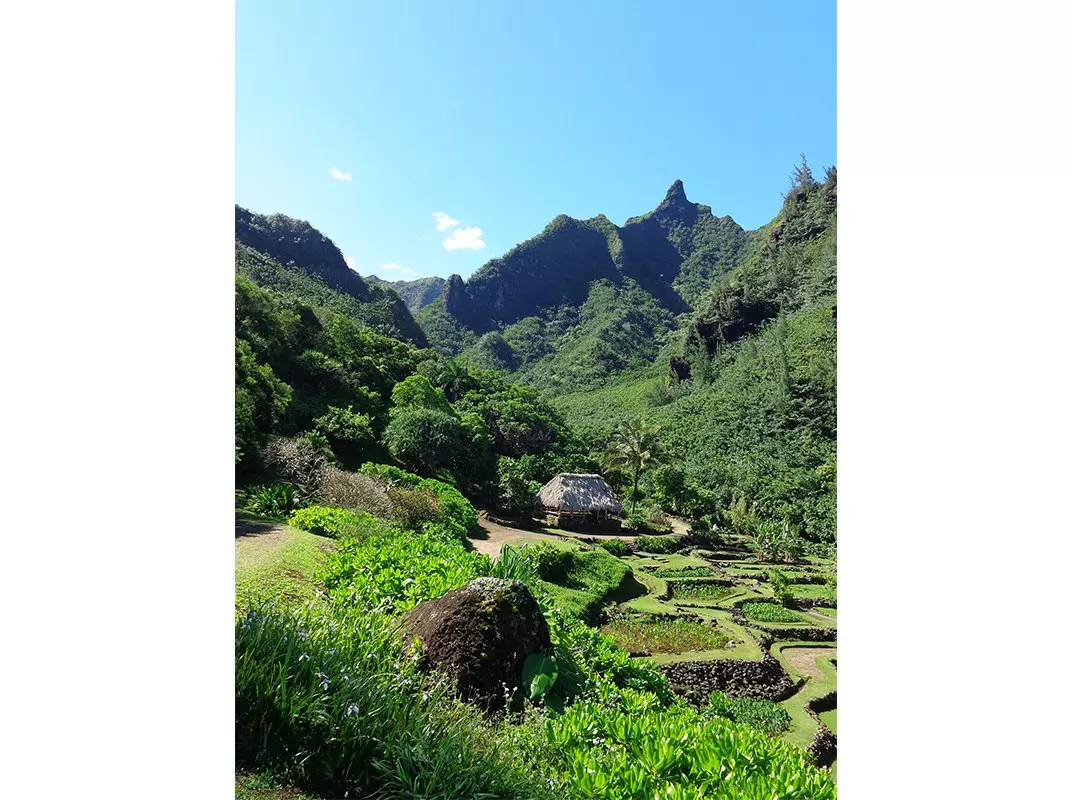 Kauai मधील रस्त्याच्या शेवटी संस्कृती आणि संवर्धनाचे धडे शोधणे 33331_5