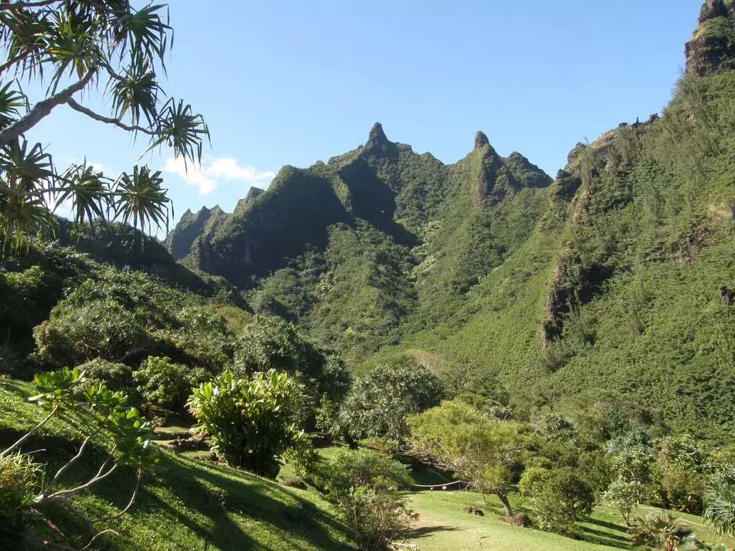 Lessen vinden over cultuur en natuurbehoud aan het einde van de weg in Kauai 33331_6