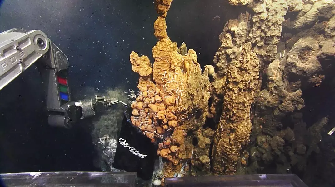 Учените изследват спиращи дъха хидротермални отвори във виртуална реалност 33442_6