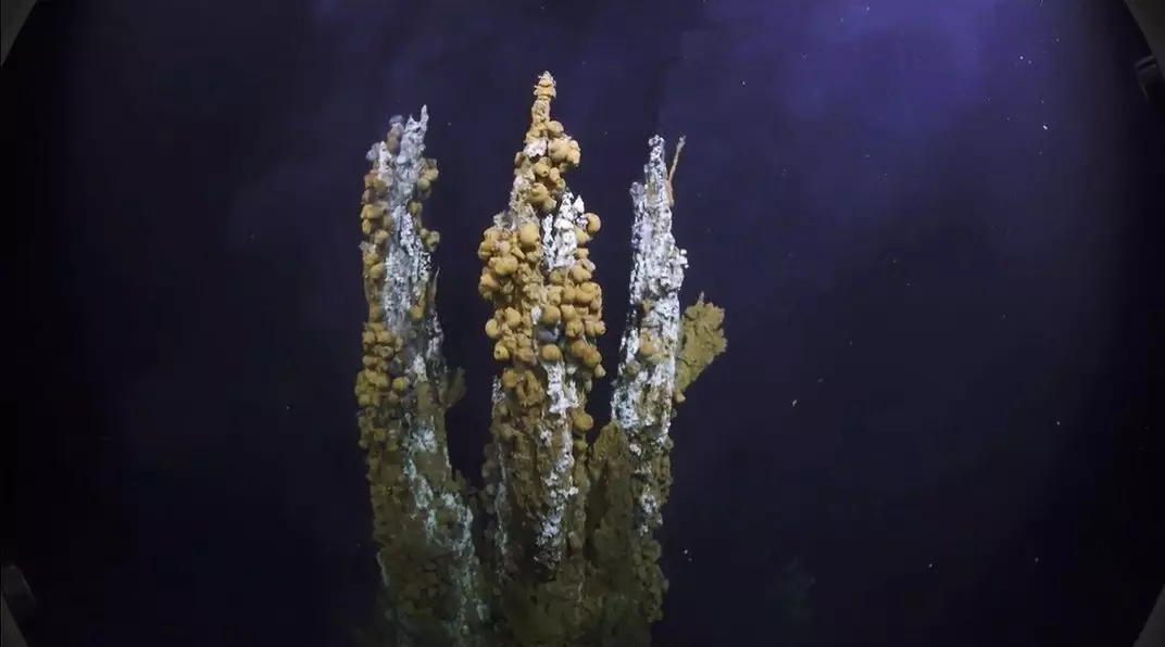 Учените изследват спиращи дъха хидротермални отвори във виртуална реалност 33442_7