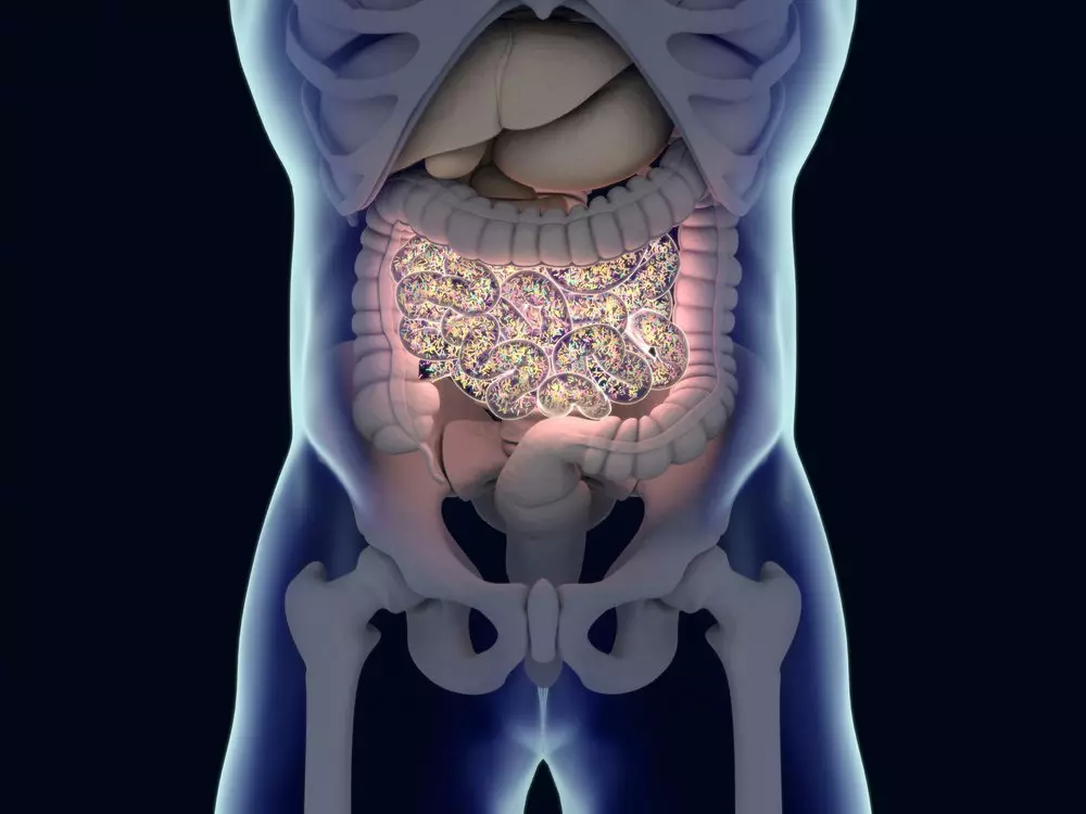 Mikrobiom Necə Yeni Xərçəng Müalicələrinin Açarı Ola bilər