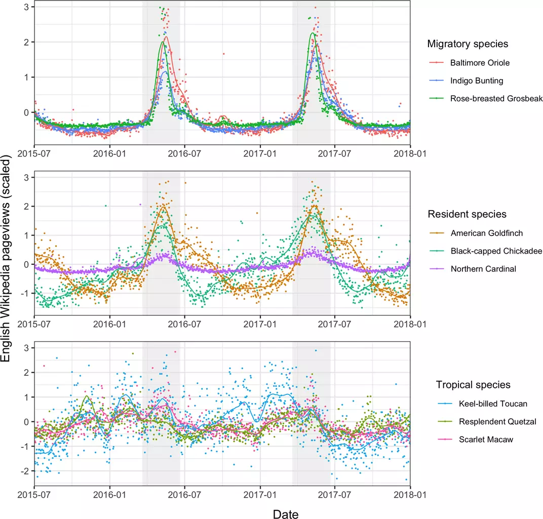 Міграції птахів, цвітіння квітів та інші природні явища викликають сезонні сплески в пошукових запитах у Вікіпедії 33496_2