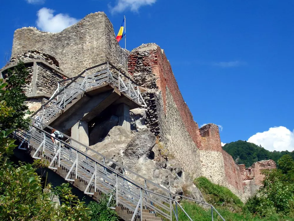 Ein Bär und seine Jungen übernahmen die Burg von Vlad dem Pfähler