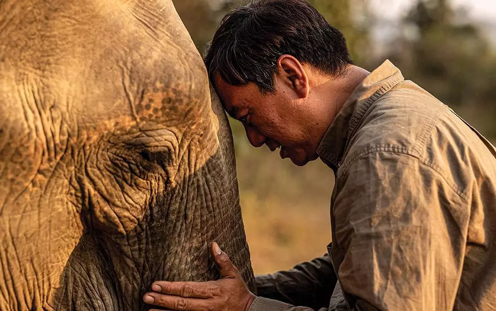 Researchers Are Learning How Asian Elephants Think—in Order to Save Them