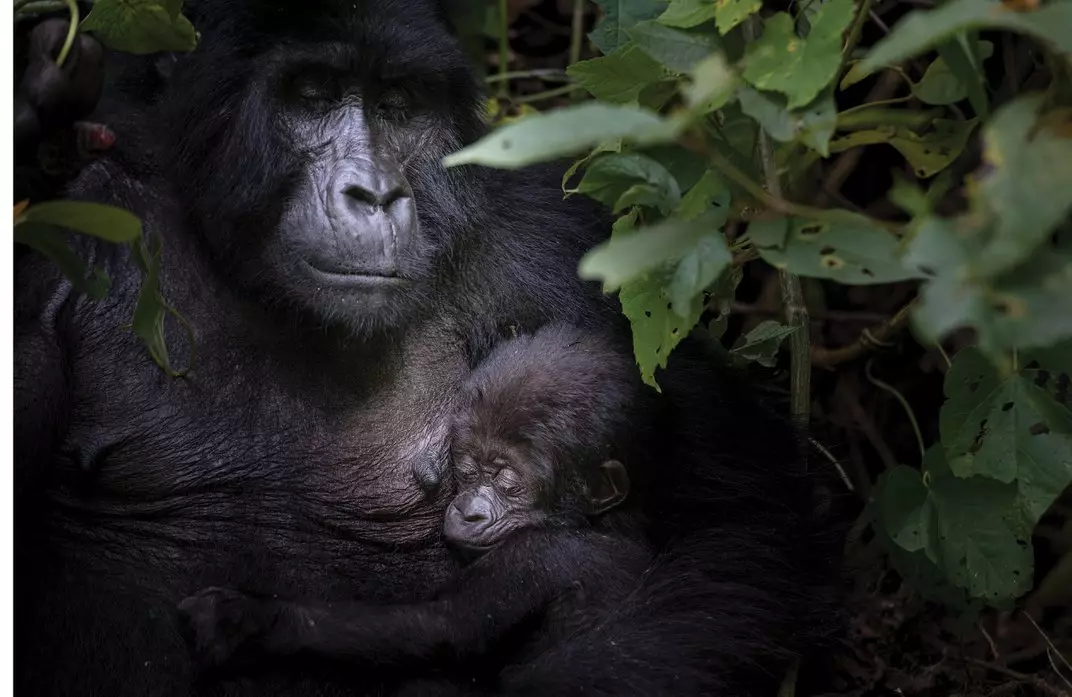 Rotary, 11 ára kona í Bwindi Impenetrable National Park, með 3 mánaða gamalt barn sitt.