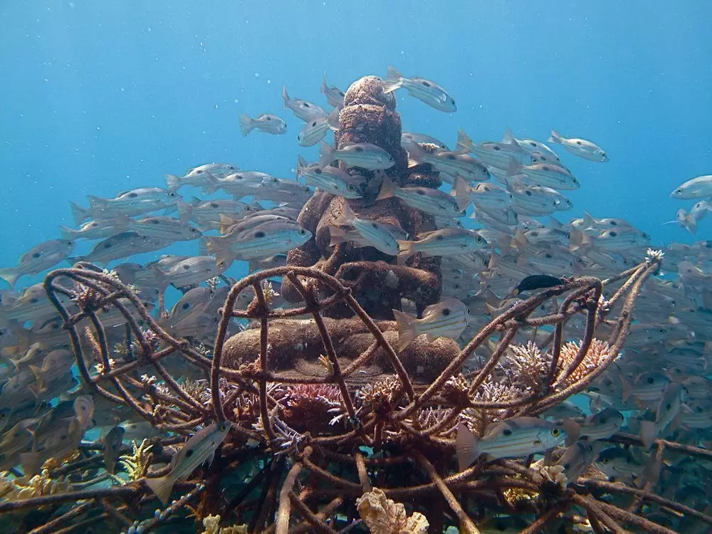 Coral Goddess and Snapper.JPG