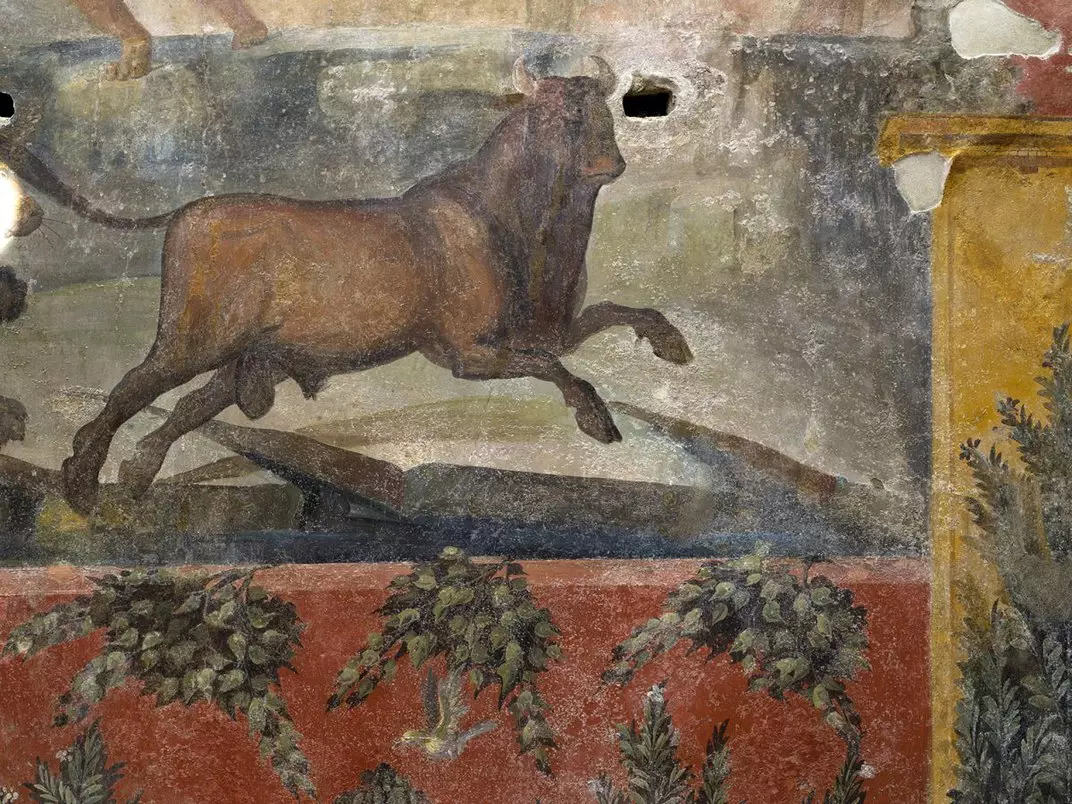 Ama-Pompeiian Frescoes Asanda Kubuyiselwa Athwebula Izigcawu Zokuzingela Ngemininingwane Ecacile 33712_2