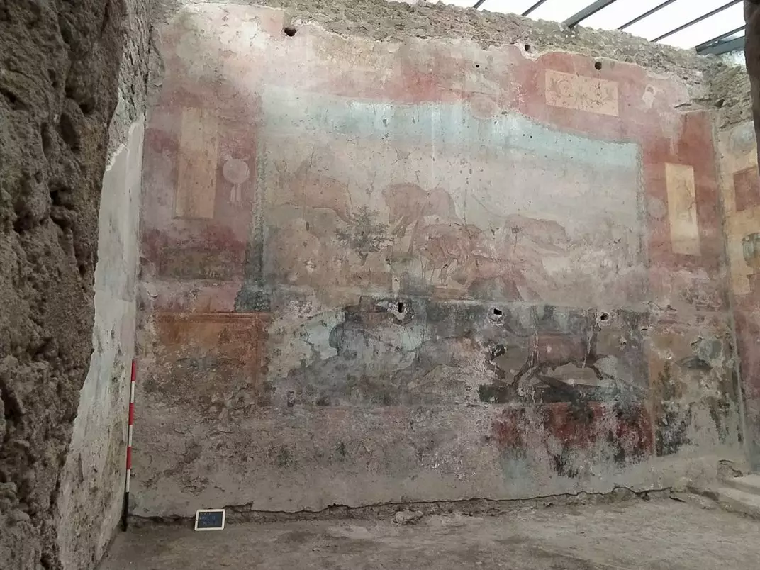 Ama-Pompeiian Frescoes Asanda Kubuyiselwa Athwebula Izigcawu Zokuzingela Ngemininingwane Ecacile 33712_5