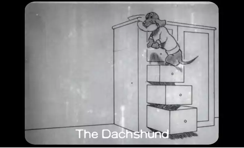 dachshund.PNG