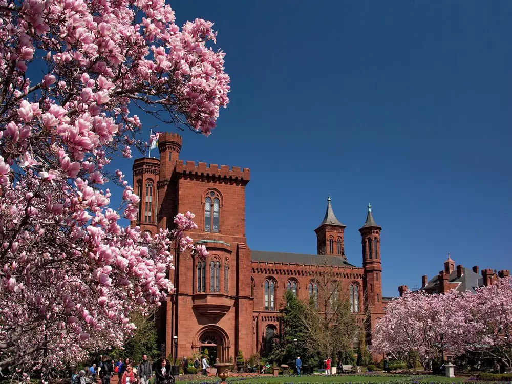 Yese Smithsonian Museums uye National Zoo Ramba Yakavhurika Kupfuura Chishanu; Zviitiko Zvakadzimwa