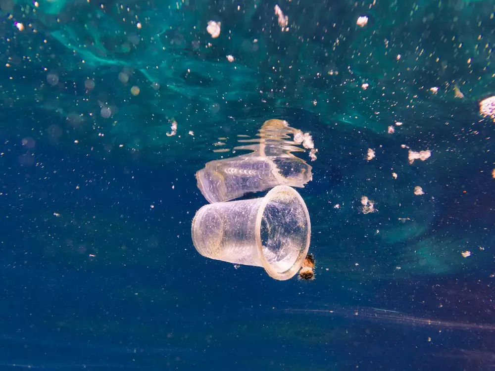 Viumbe wa Baharini Bado Wanawasili Marekani kwa Vifusi vya Plastiki Kutoka Tsunami ya Japan Miaka Nane Iliyopita