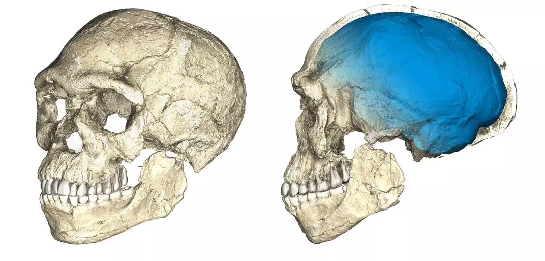 Människor utvecklades 100 000 år tidigare än vi trodde – men mysterier finns kvar 33930_3