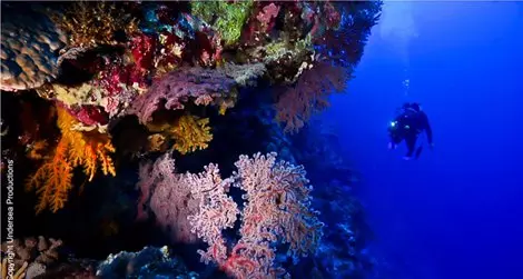 Osprey Reef, um dos cinco recifes que terão proteção total em nível de parque nacional na Austrália.
