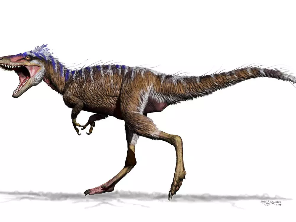 Iltaqa' mal-Kuġina Żgħir ta' T. Rex li Ismu Ifisser 'Doom imminenti'