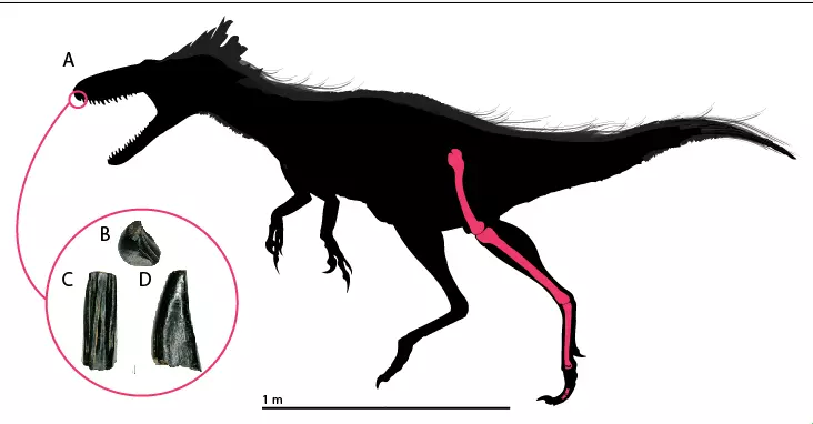 Ntsib T. Rex tus nkauj muam nraug nus uas nws lub npe txhais tau tias 'Impending Doom' 34094_1