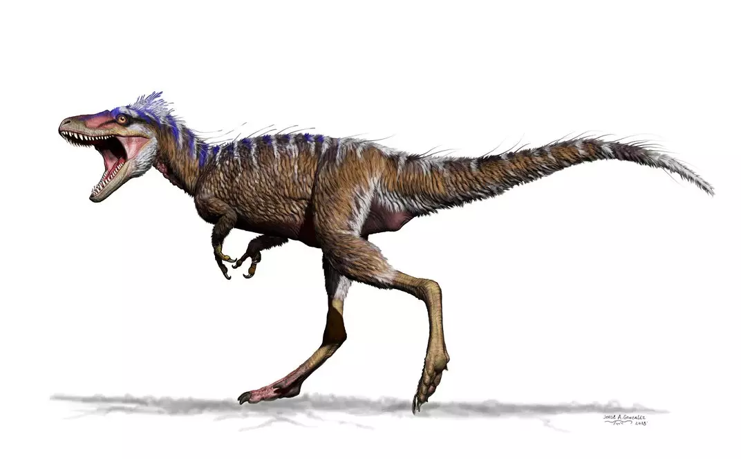 T. Rex'in Adı 'Yaklaşan Kıyamet' Anlamına Gelen Ufacık Kuzeniyle Tanışın 34094_2