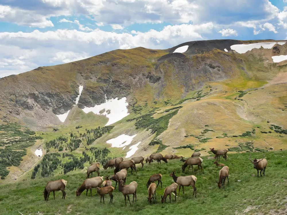 I migliori parchi nazionali per avvistare la fauna selvatica