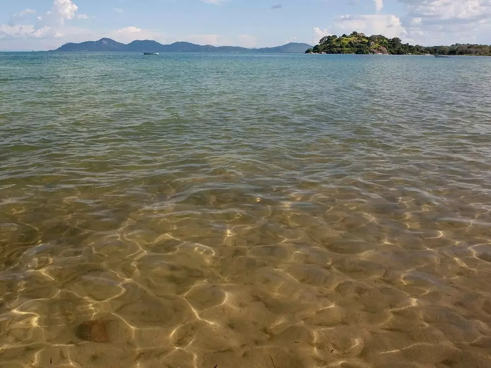 Ohun ijinlẹ Fishy ti Lake Malawi