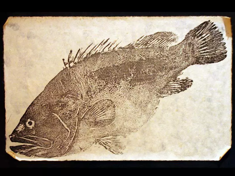 Раздрукоўка рыбы Gyotaku