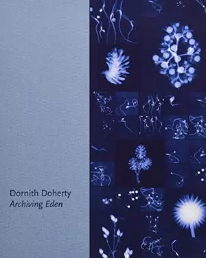 Οι μαγευτικές φωτογραφίες της Dornith Doherty καταγράφουν τις αντιφάσεις της τραπεζικής σπόρων 34312_7