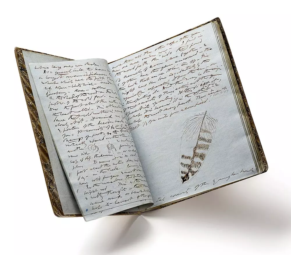 Snoop Inside Thoreau's Journals op dizze nije tentoanstelling 34357_6