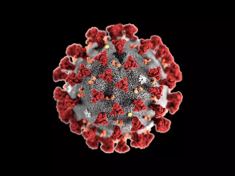 Ilustrasi saintifik SARS-CoV-2