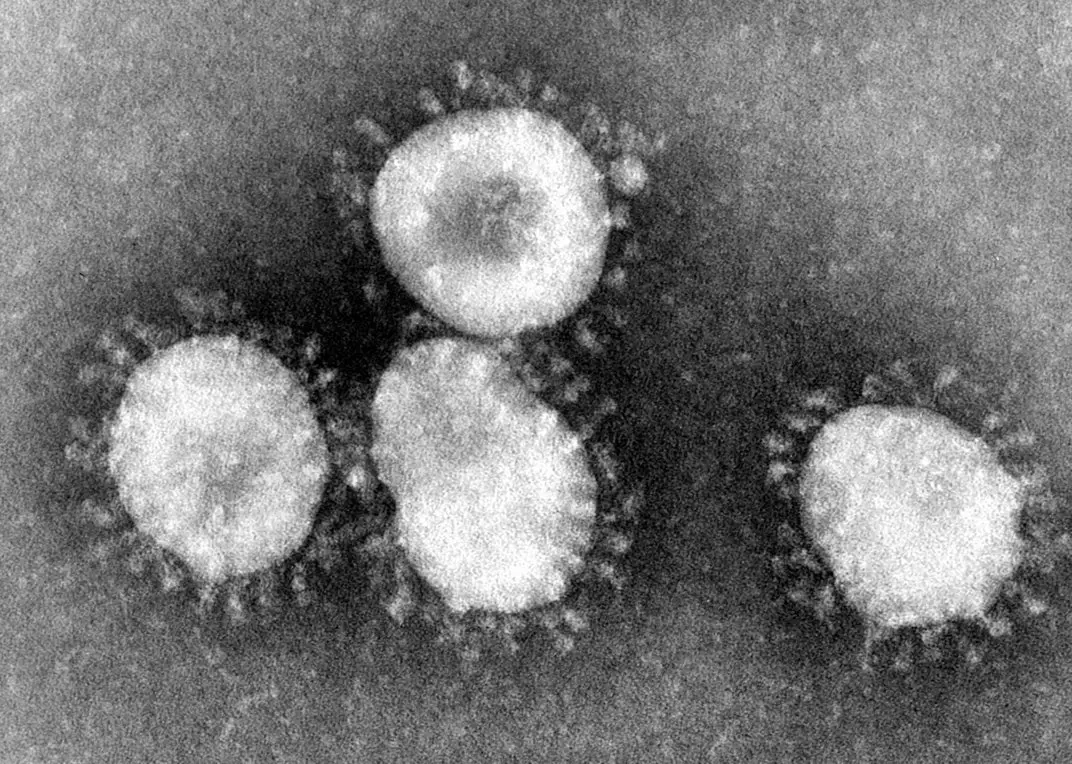 Bild vum Coronavirus ënner engem Mikroskop
