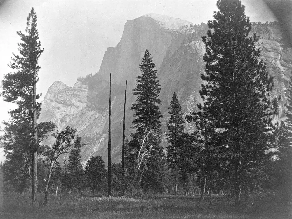 Half Dome dening Watkins