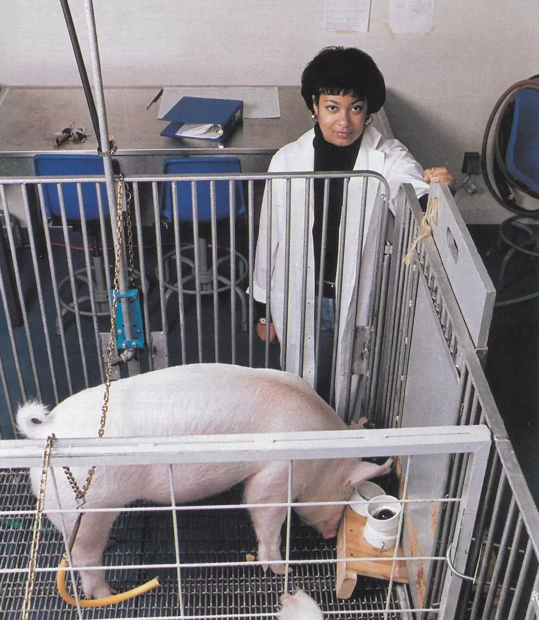 Η επικεφαλής συγγραφέας Candace Croney φορά ένα εργαστηριακό παλτό και στέκεται στη γωνία του στυλό δοκιμής. Ένα ροζ γουρούνι στέκεται στη δοκιμαστική μάνδρα.