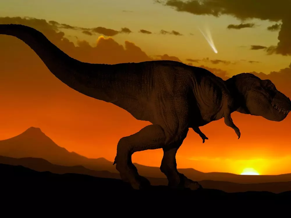 Litsebi tsa linaleli Mohloli oa Chate ea Asteroid E Bolaileng Li-Dinosaur