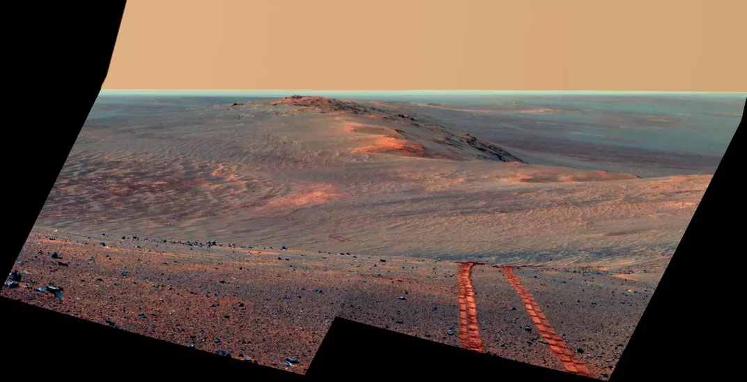 Oppy Tracks